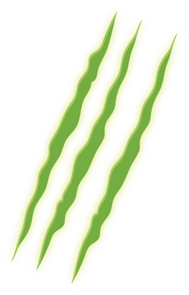 CUSTOM TOWING - Vancouver, Wa. - CUSTOM TOWING